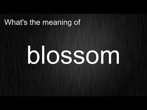 What's the meaning of "blossom", How to pronounce blossom?