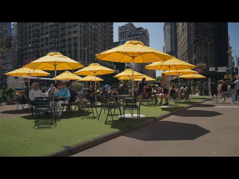 Nikon Z8: 8k video sample (1695)