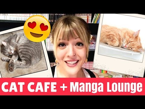 🐱CAT CAFE + MANGA LOUNGE in Montreal! Adorable Kitties, Nutella Onigiri and Latte Art!