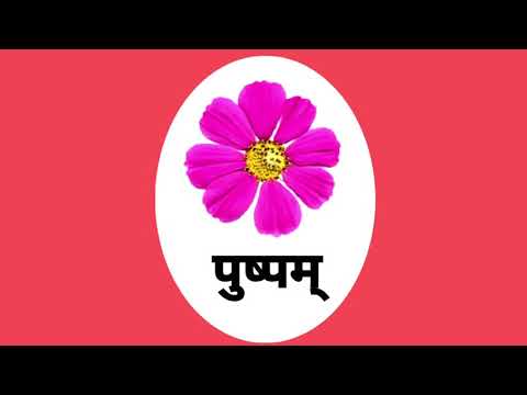 Sanskrit Word Meanings संस्कृत शब्दार्थ: Important Sanskrit Words Meanings in Hindi & English Part-2