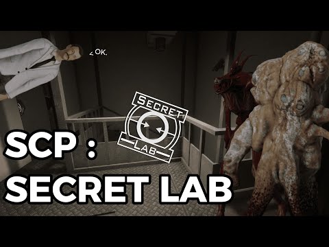 Steam Community :: Video :: On m'accuse de CHEAT ?! [SCP:SL]