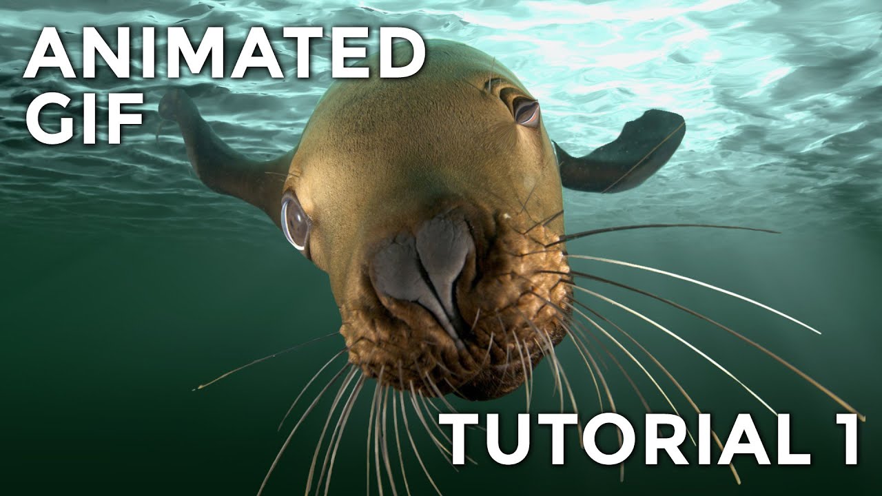 Animated GIF Tutorial 1