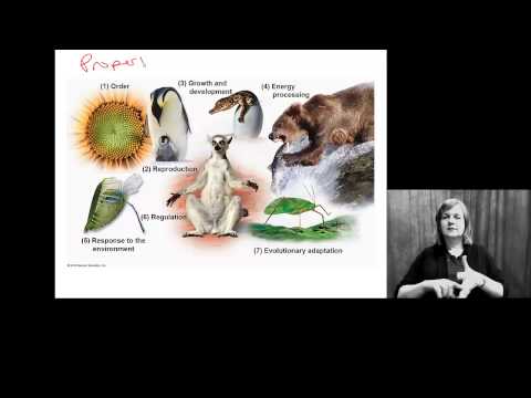 WhatIsBio_Intro w- Interpreter