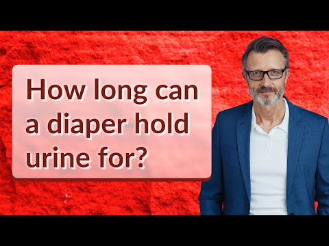 How long can a diaper hold urine for?