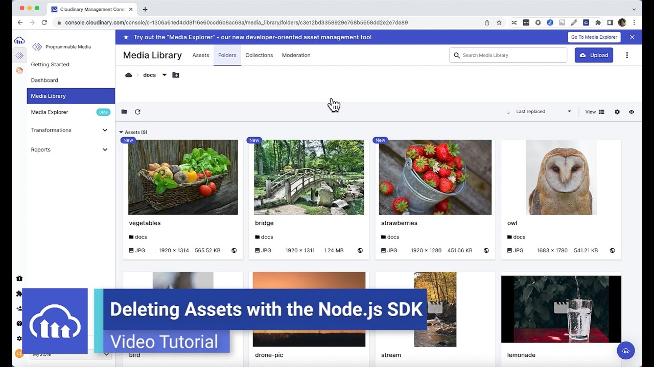 Deleting Assets with Cloudinary's Node.js SDK - Cloudinary Tutorial