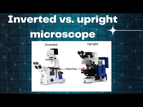 Microscope - Mechanic Microscope Latest Price, Manufacturers & Suppliers