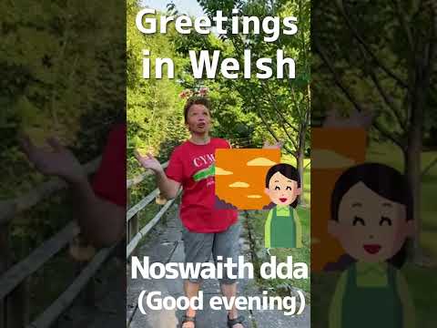 【Welsh】Good morning / Good afternoon/ Good evening/ Good night in Welsh【English】 #Shorts