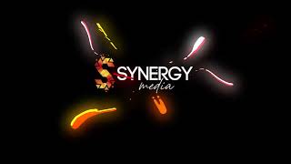 Synergy Media Reviews and Clients | DesignRush