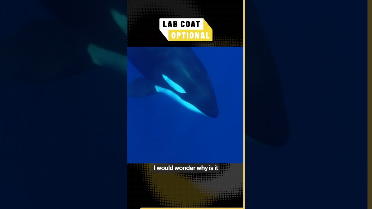 Becoming an environmental researcher — Lab Coat Optional featuring Charlie Rolsky