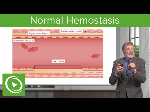 Normal Hemostasis | Cellular Pathology