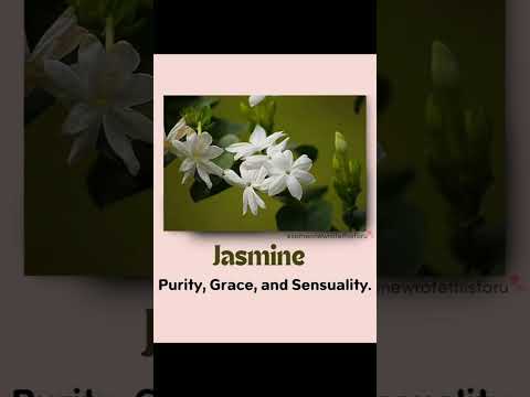 Flower's & their meanings #flowers #meaning #love #flowersandtheirmeanings