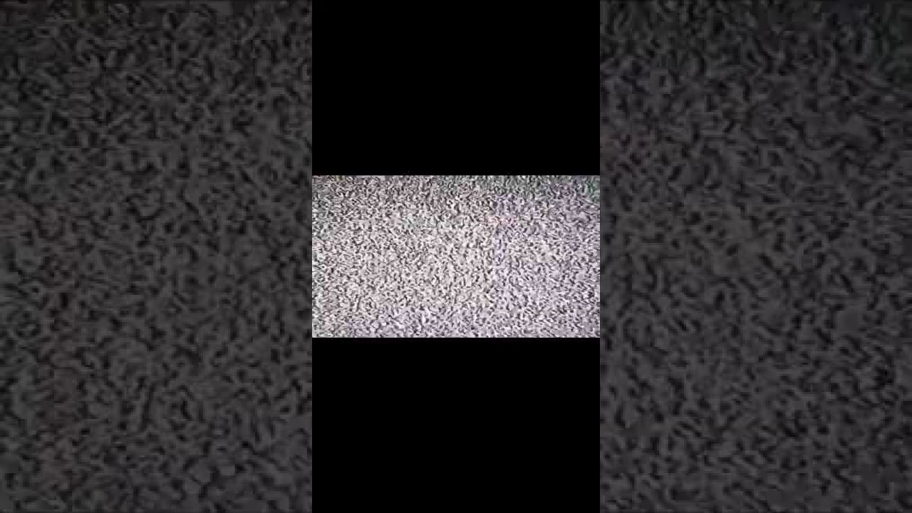 McVIDEO Compilations #1