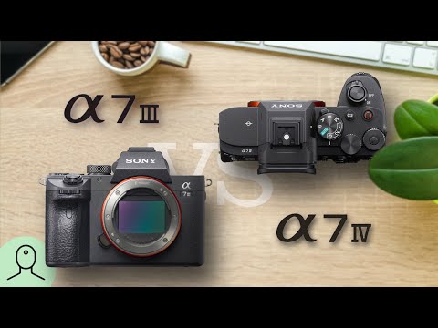 Welche Kamera DU dir kaufen solltest! | Sony A7 III VS Sony A7 IV