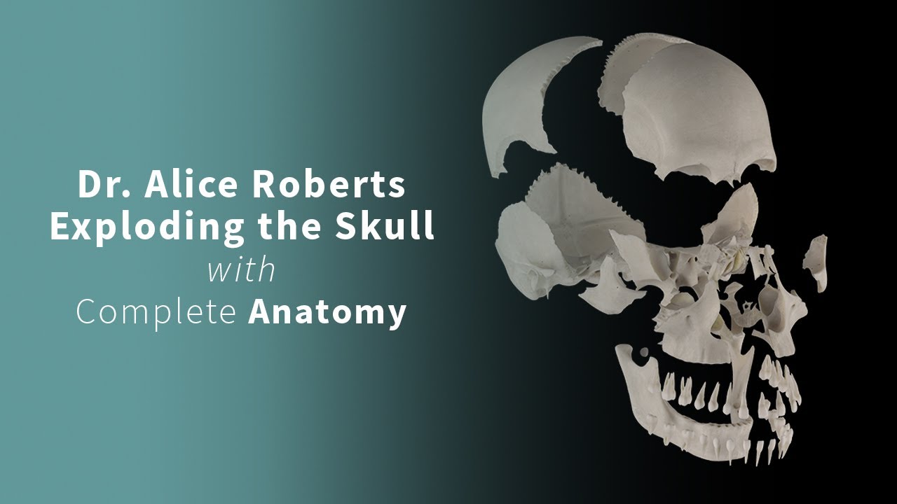 Alice Roberts: Exploding the skull with Complete Anatomy