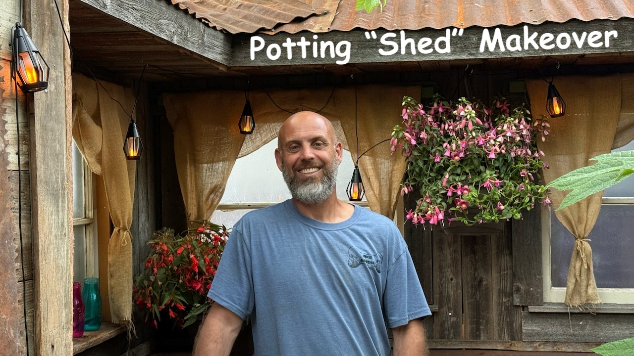 Potting 