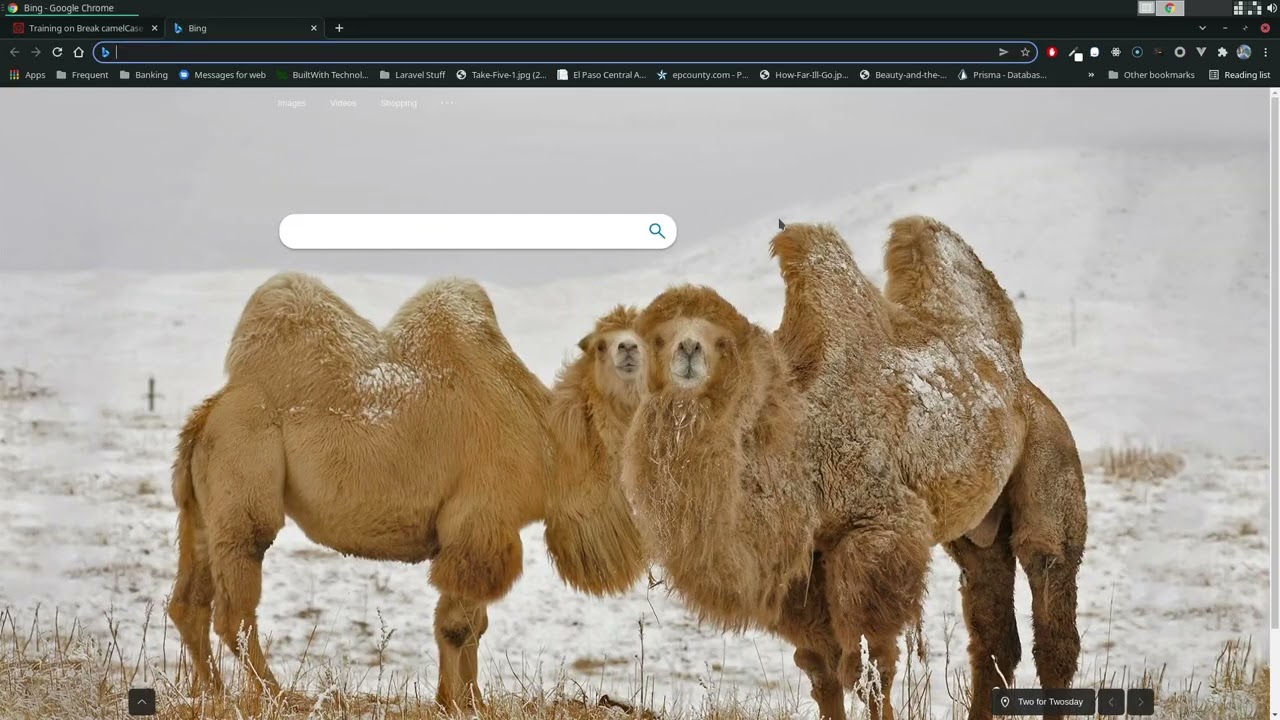 CodeWars - Fundamental - JavaScript - Break camelCase