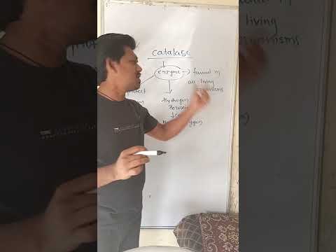 catalase enzyme meaning #shorts