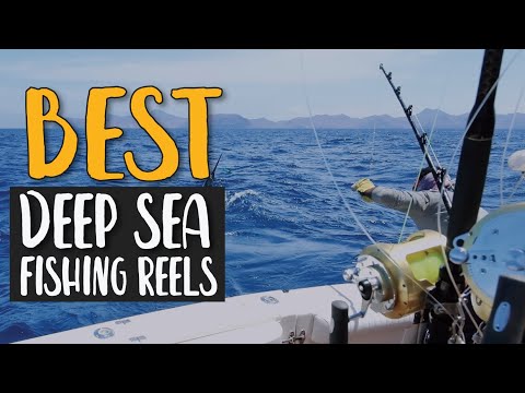 Best Deep Sea Fishing Reels in 2020 – Get Scintillating Performance!