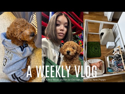 WEEKLY VLOG | 24 Hrs in Chicago, First 72 Hrs with My New Puppy
