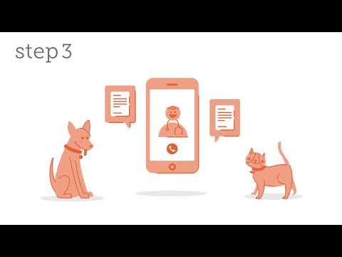 bhere for curbside | Pets + People | Banfield Pet Hospital