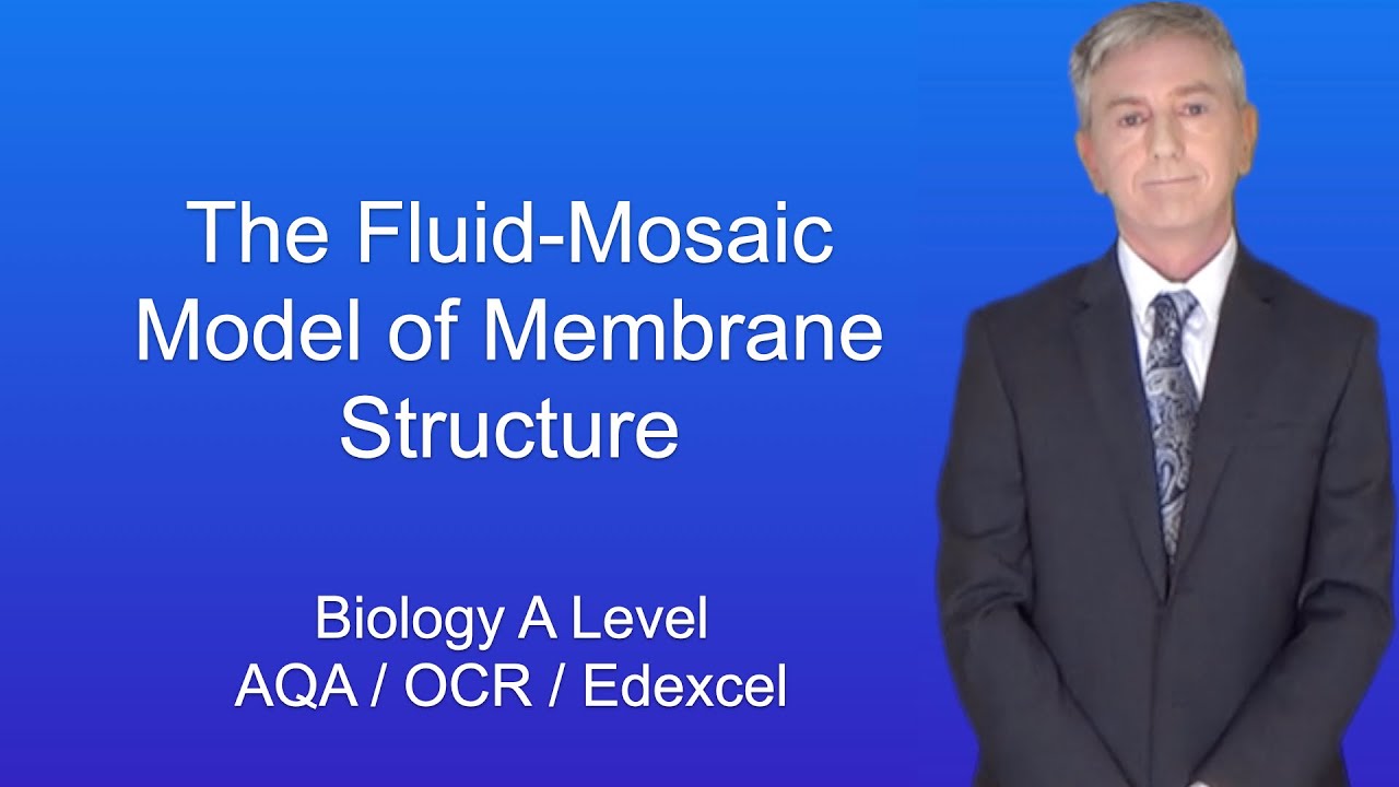 Understanding the Fluid-Mosaic Model of Membrane Structure in A Level ...