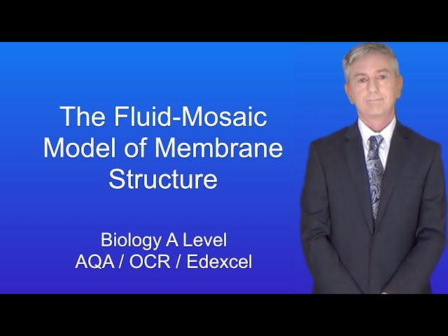 Understanding the Fluid-Mosaic Model of Membrane Structure in A Level ...