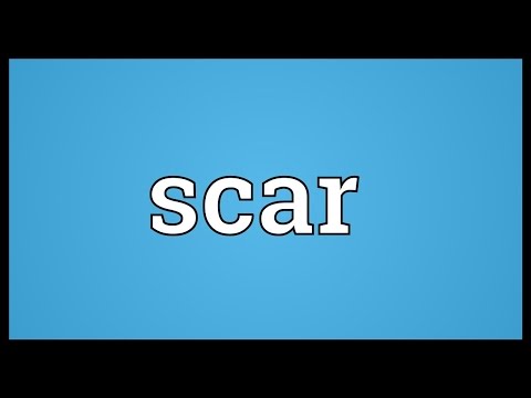 Scar Meaning