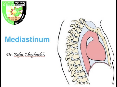 Introduction to Mediastinum