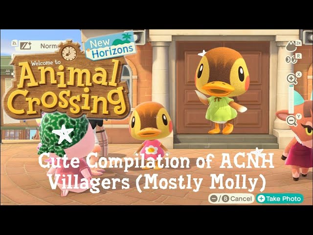 Molly in Animal Crossing: How to Get, Appearance, Roles