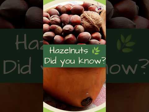 The Benefits of #Hazelnuts