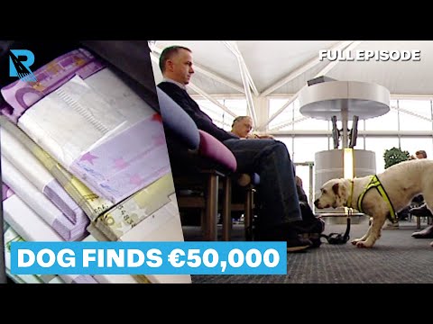 Sniffer Dog Finds 50,000 CASH & Illegal Drugs! | Bristol Airport | Full Episode