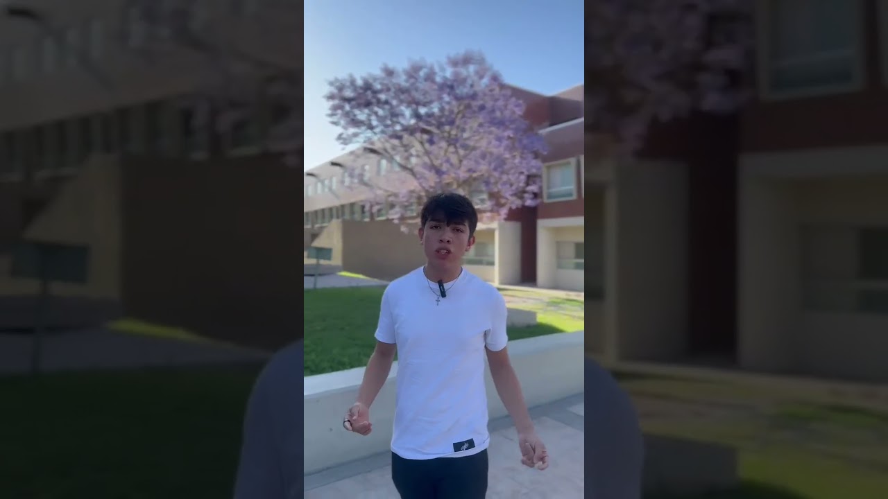 Estudia Ingeniería Industrial en la Universidad Politécnica de San Luis Potosí