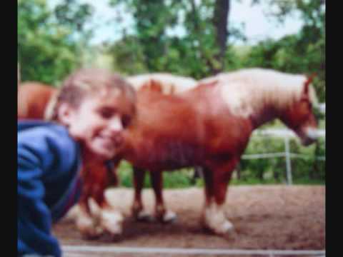 My History as an Equestrian...So Far