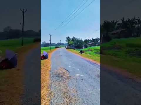 trees sprinting 😅 #shortvideo #shorts