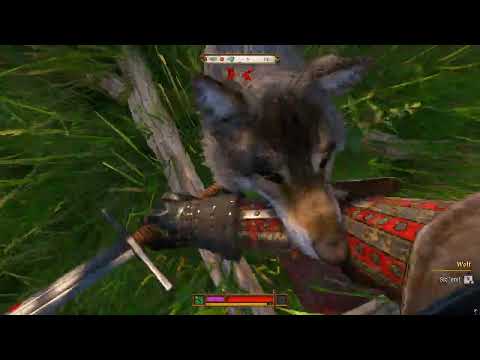 Steam Community :: Video :: Kingdom Come Deliverance 2 - Rescuing Ignatius
