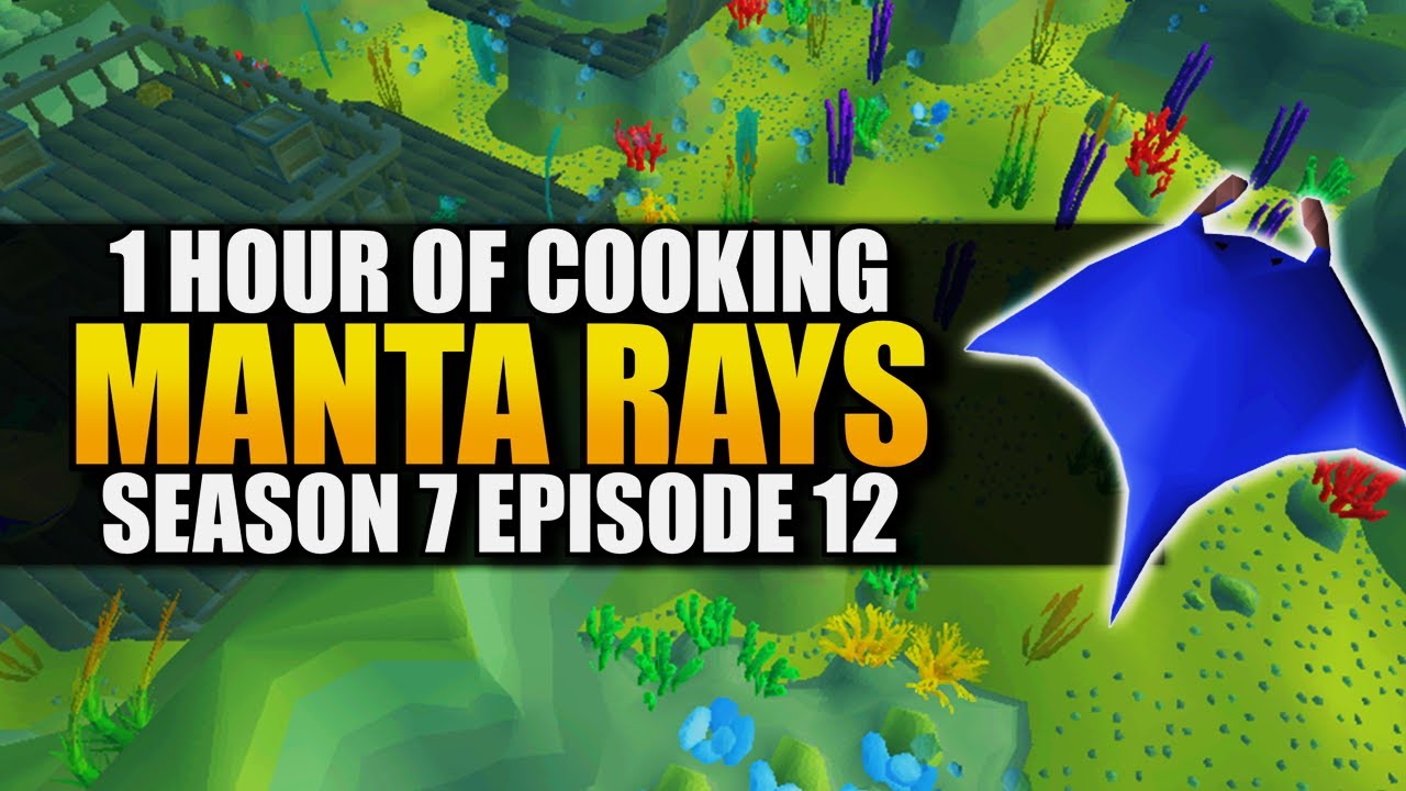 Cooking Manta Rays | Testing OSRS Wiki Money Making Methods | Money Making Guide 2023