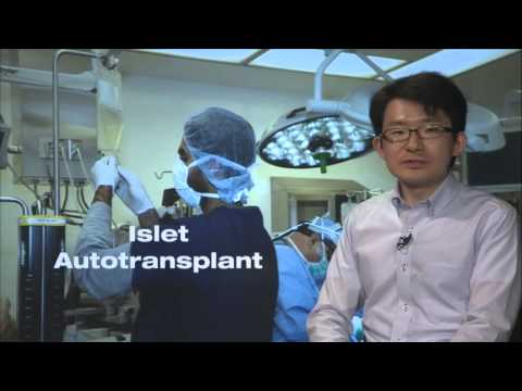 Ask the Expert: Islet Cell Transplant