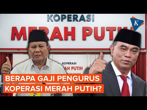 Berapa Gaji Pengurus Koperasi Merah Putih?