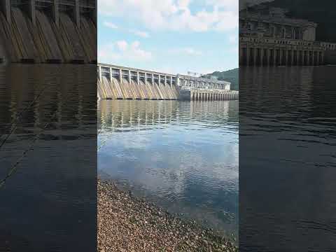 Catfishing on the Osage River below Bagnell Dam #catfishing #bankfishing #lakeoftheozarks