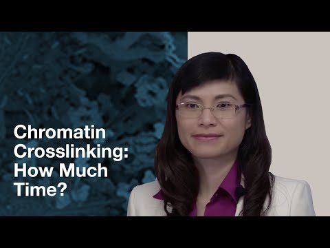 Chromatin crosslinking: how much time? Chromatin Immunoprecipitation (ChIP)  | CST Tech Tips