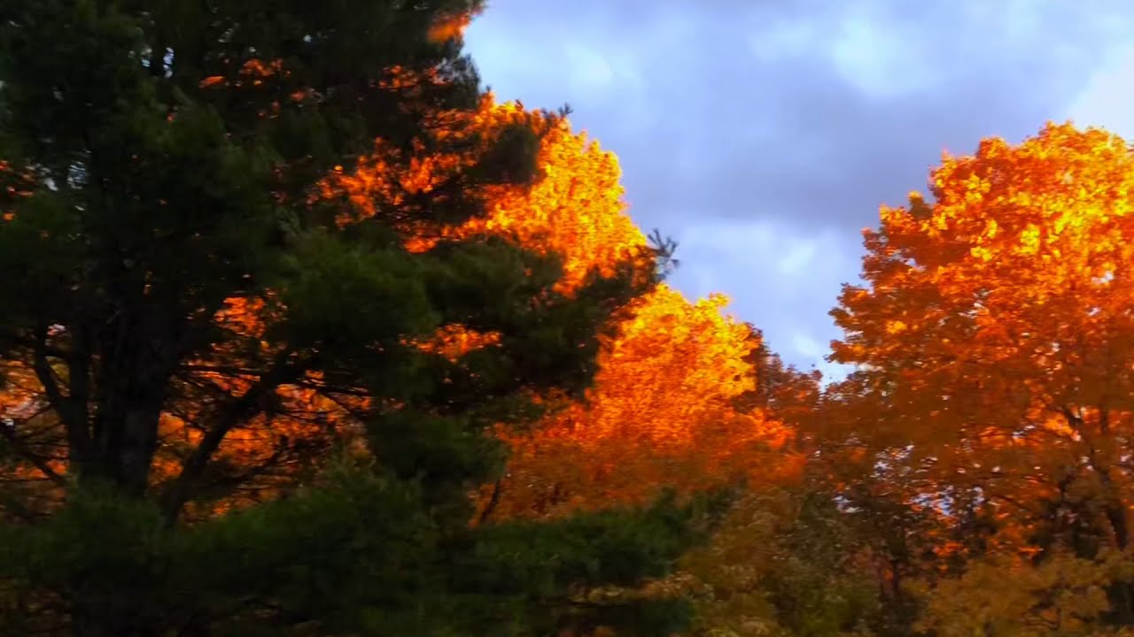 Brilliant Autumn Colors of the Keweenaw | UP of Michigan