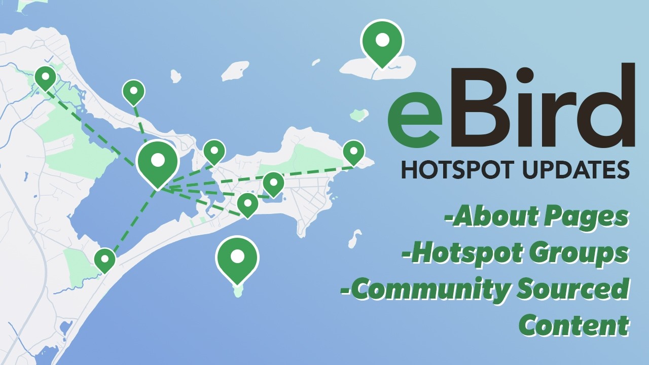 eBird adds Hotspot About & Groups Features