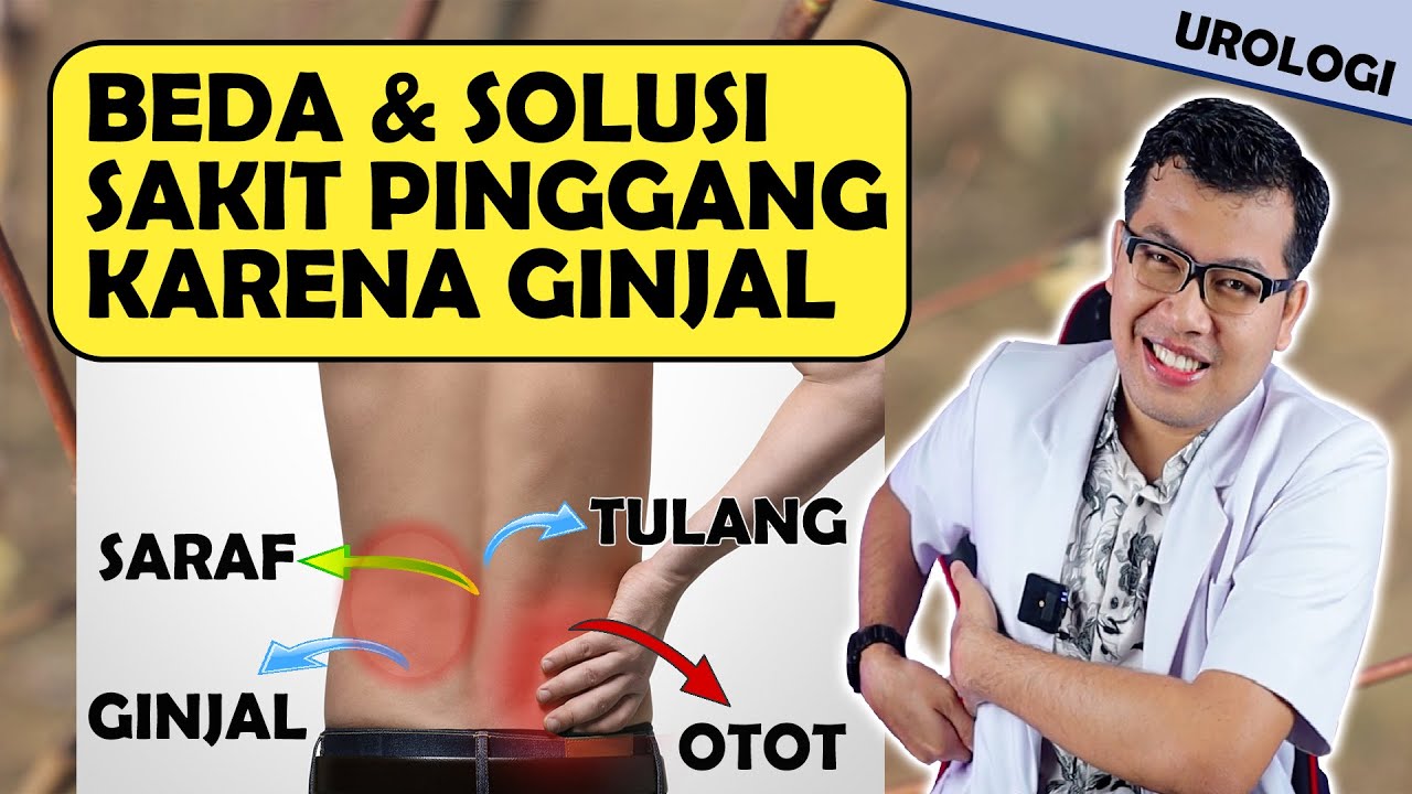 TIPS CARA MEREDAKAN SAKIT PINGGANG KARENA GINJAL - DOKTER SADDAM ISMAIL
