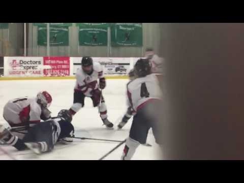 Peewee hockey goal