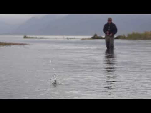 Raw beauty and bountiful wildlife of Kodiak, Alaska