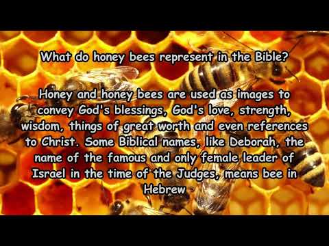 What do Honey-bees represent in the Bible?