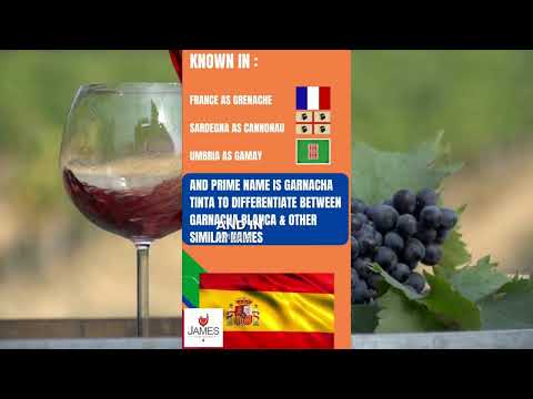How to Pronounce Garnacha Grenache Cannonau #howtopronounce #garnacha #grenache #cannonau