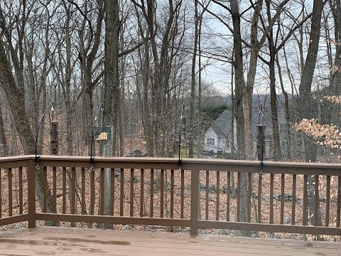 LIVE Winter STORM Norwalk CONNECTICUT