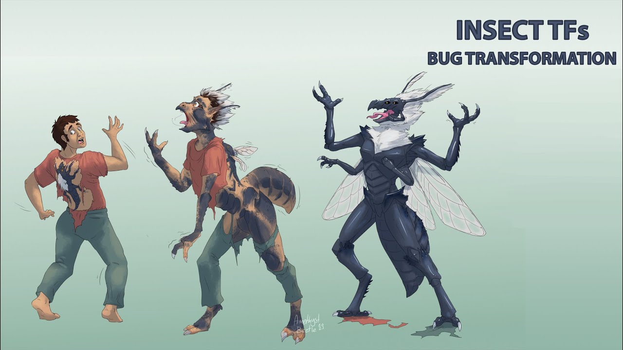 Insect TFs / Bug Transformation #2