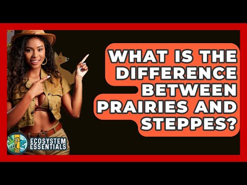What Is The Difference Between Prairies And Steppes? - Ecosystem Essentials